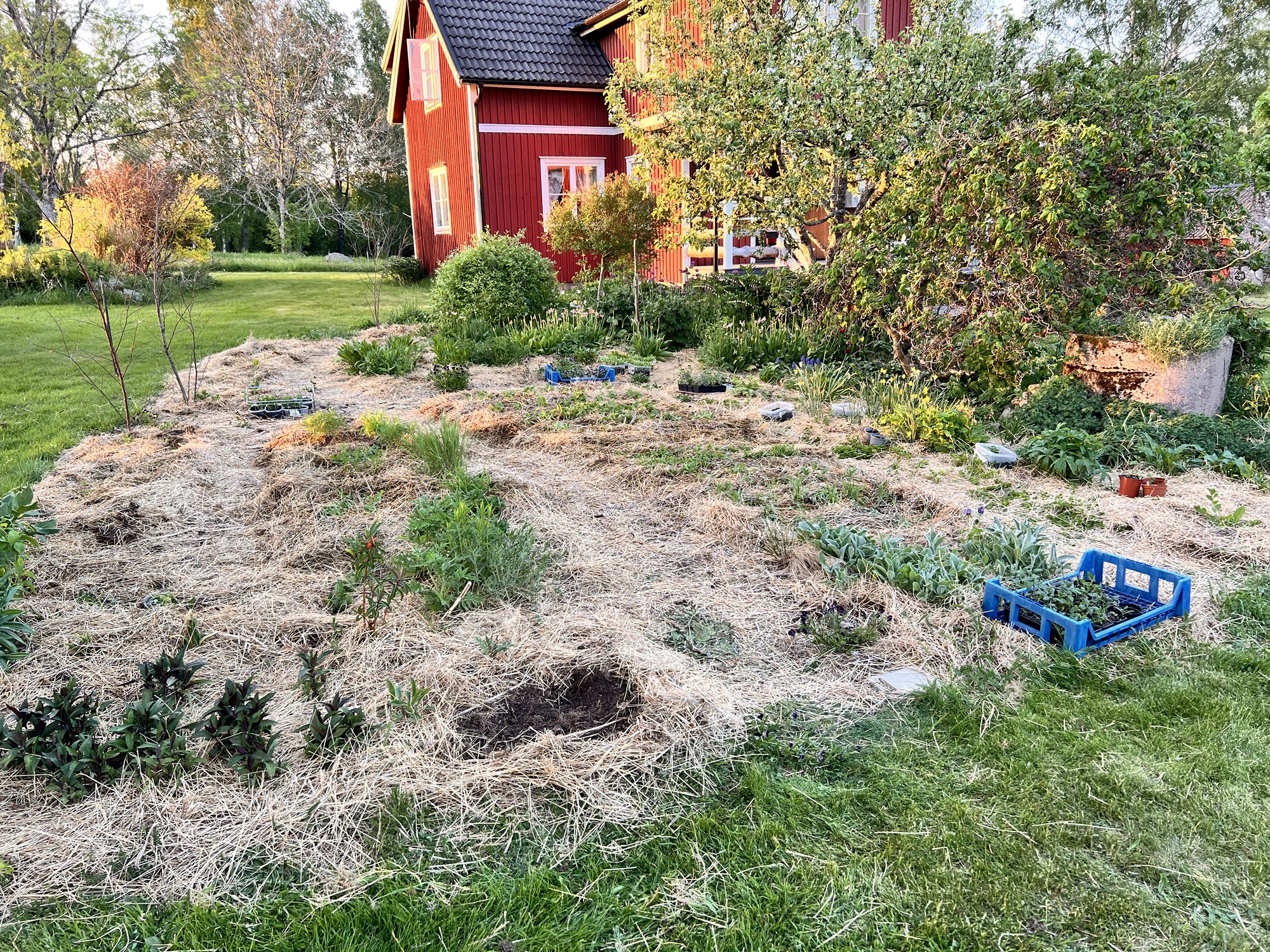 Såmetoder – Den jordiga tummen